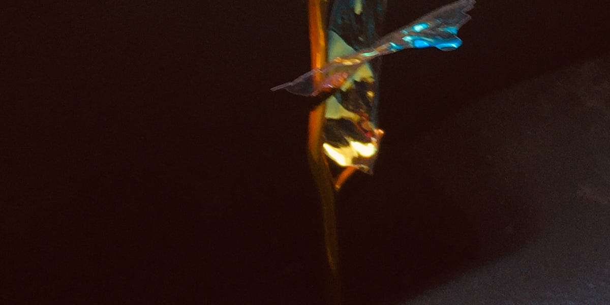 Grief Exists - by Alisa's Room - Alisa's Substack