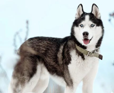 Erosion. Decay. My face. - by Hallie Haglund