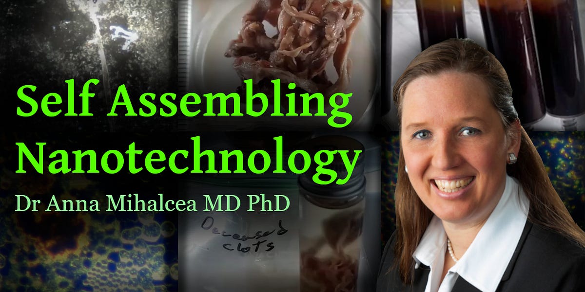 Self Assembling Nanotechnology and “Rubber Clots” Explained by Dr Ana Mihalcea MD PhD