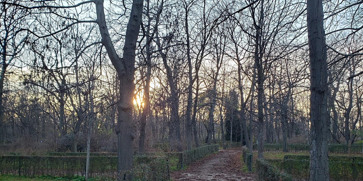 Choosing your battles - by Billy Robb - Cholla Express