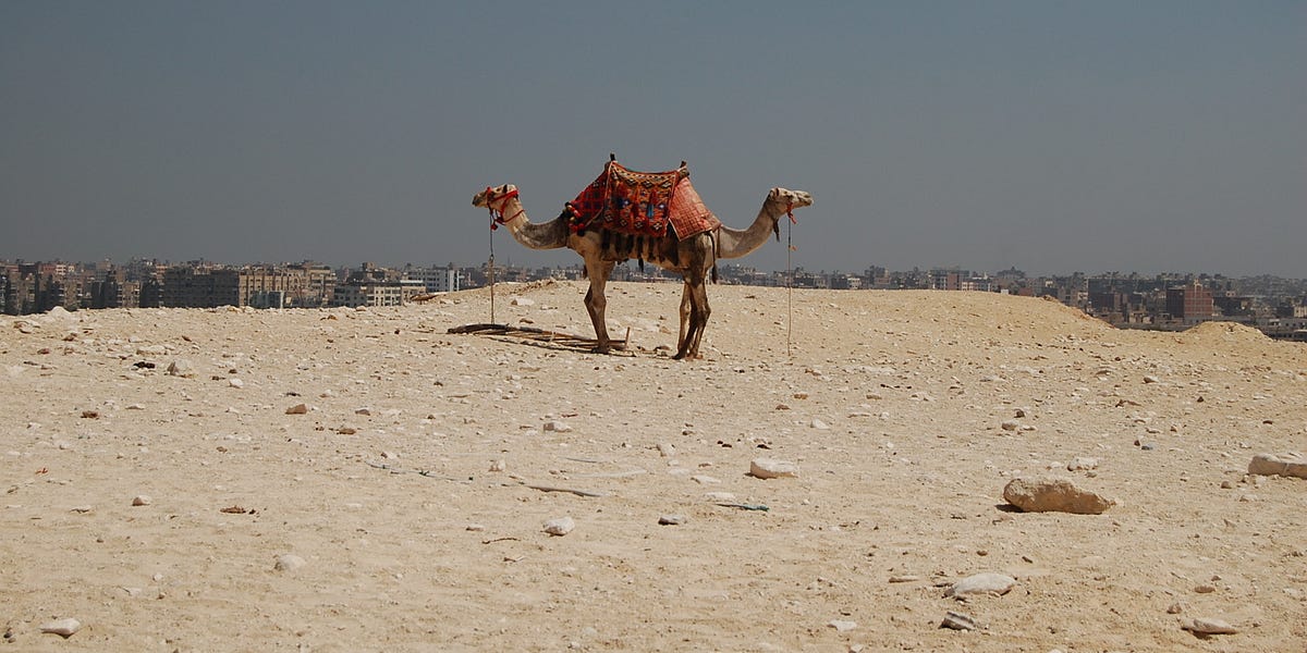 Le memorie selettive - by Giovanni Zagni - Incertezze