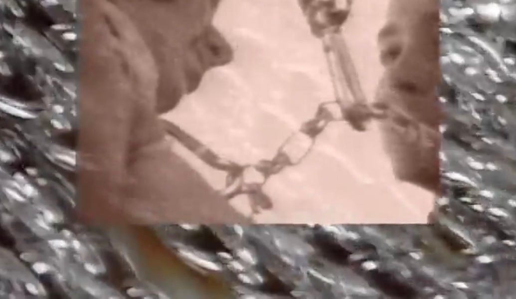 Lesbianism, Kink + Books - bo’s Substack