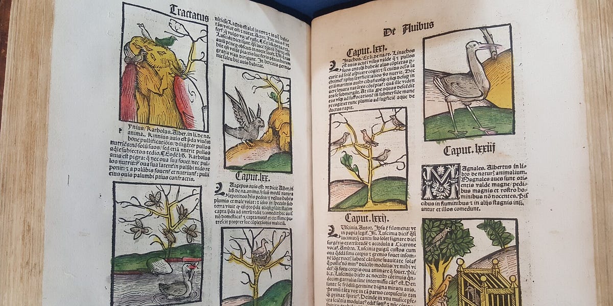 Why Early Modern Books Are So Beautiful