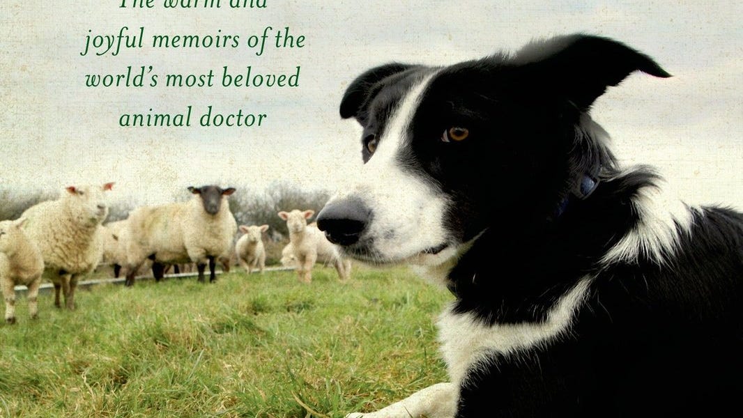 All we like sheep - by Andrew Butcher - Andrew’s Substack