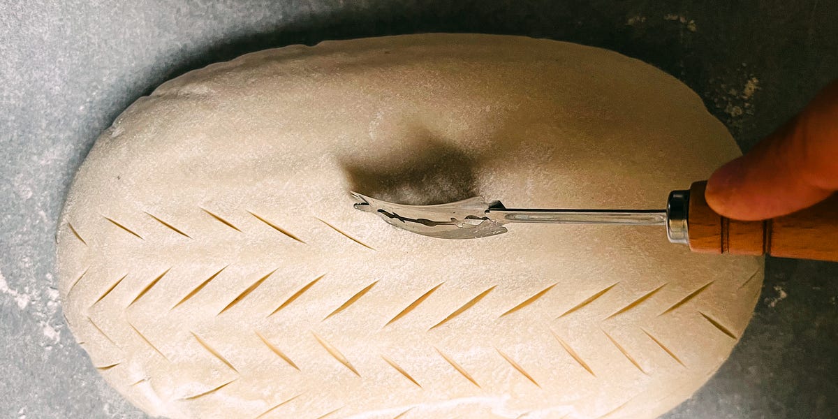 What is life for? - by Hannah Mayo - Lumen Scribere