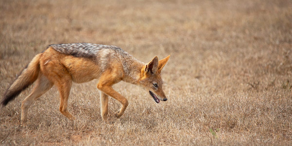 Gleanings From The Field., Vol. 14 - by Hadden Turner