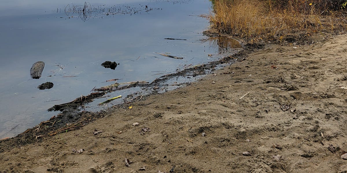 Sound Map Invitation - by Stefany Page