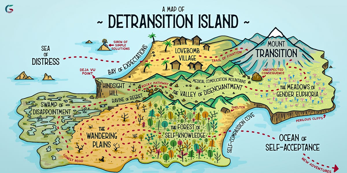 The Arc of Detransition - Inspecting Gender