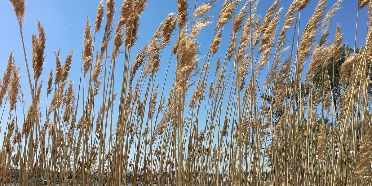 Out and about - by Keisha E. McKenzie - Tomorrow's Edge