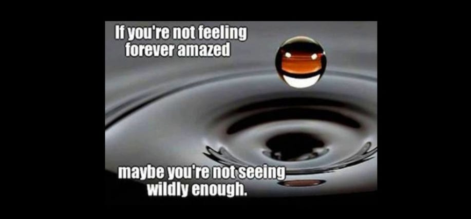 Bonuses and Perks - Rob Brezsny's Astrology Newsletter