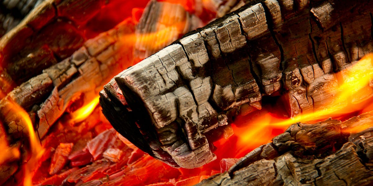 Biofuels Have A Horrific Problem - by Will Lockett