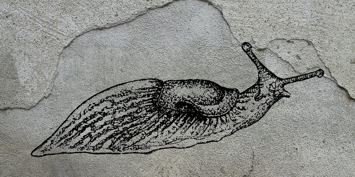 Slugs and spuds: Victorian Manchester's strange homemade remedies