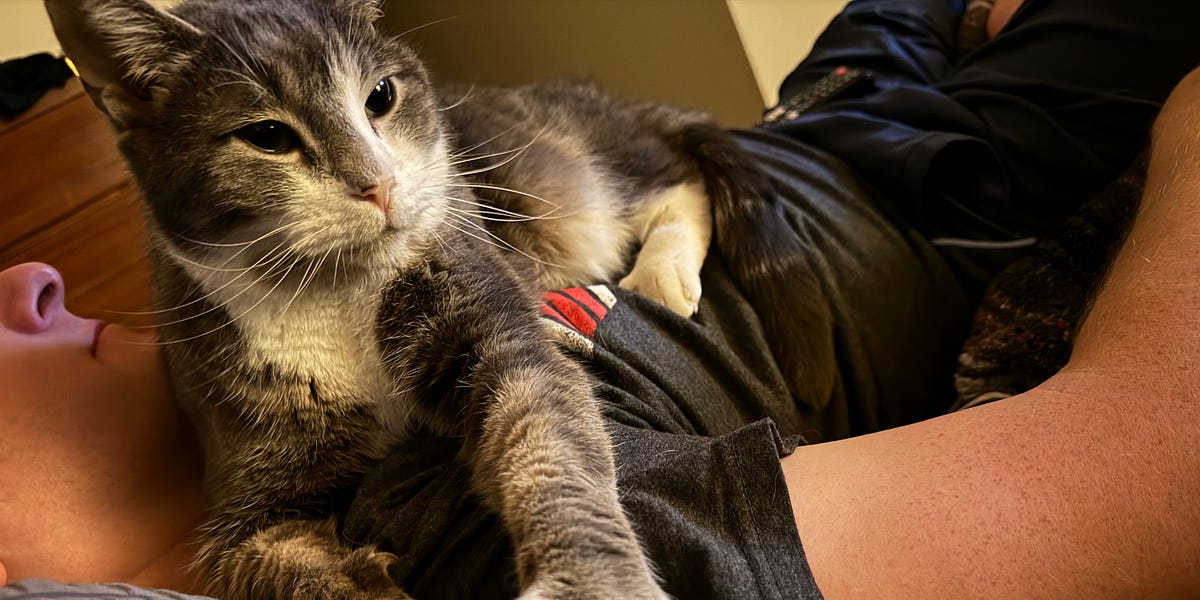 ACE's and Adult Trauma - by Daniel J. Duncan