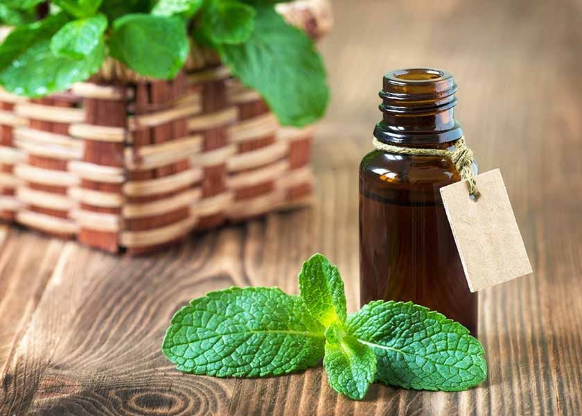 Can Inhaling Menthol Help Your Brain?