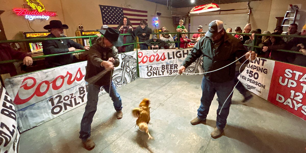Chicken Roping: A Way Of Life Or Another Way Of Cruelty?