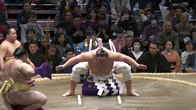 Report Card: Hatsu Basho 2024 - San'yaku - by Tim Bissell
