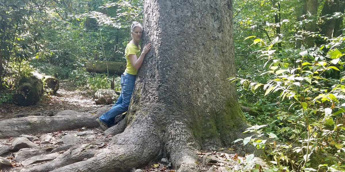 Gentle Conversation with Jeanne Malmgren - by Satya Robyn