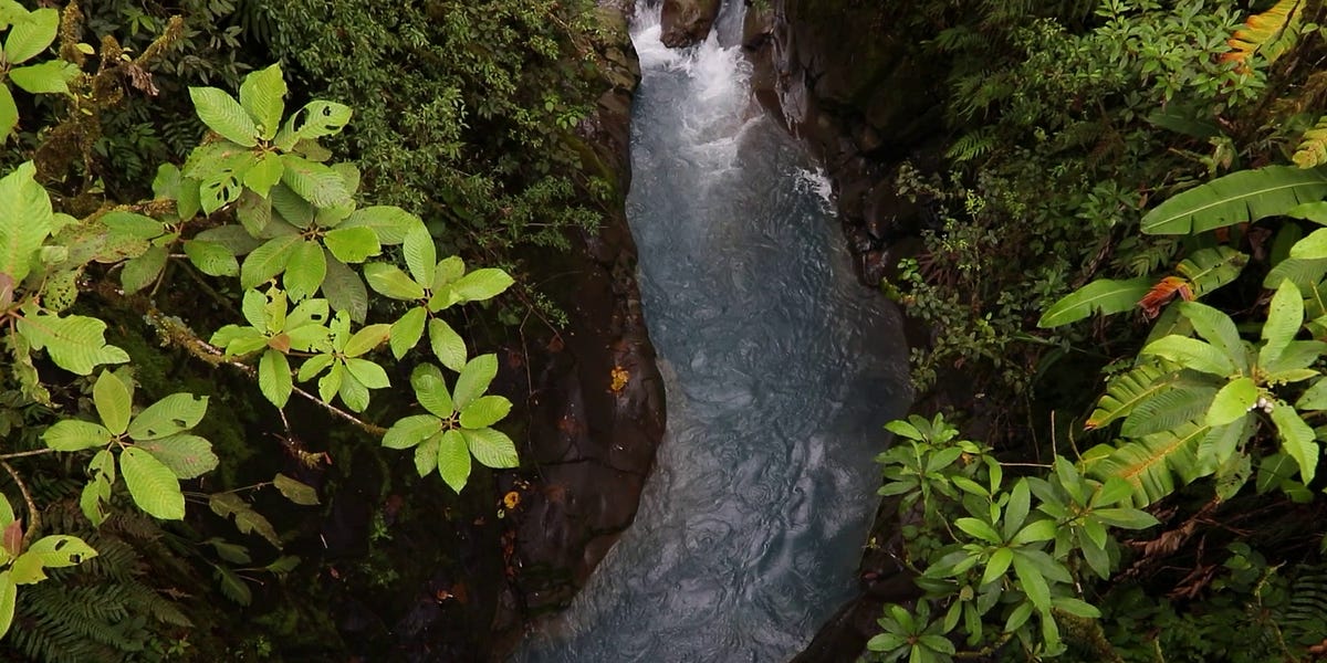 THRIVE - The Seven Times produced by Nik Heftman