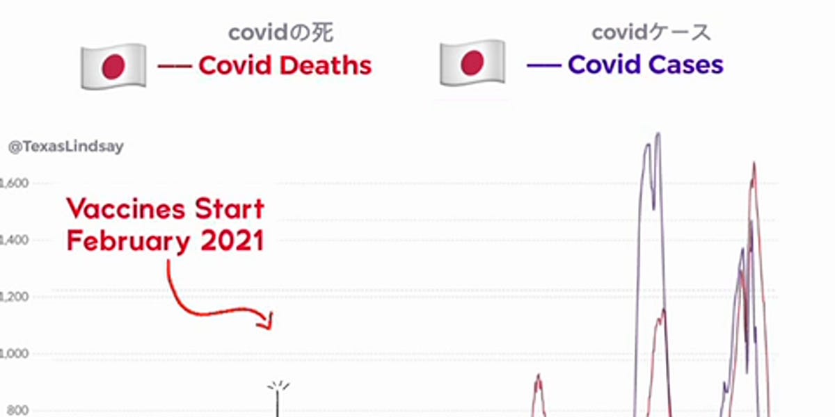 Japan: Update on Covid Data - Texas Lindsay