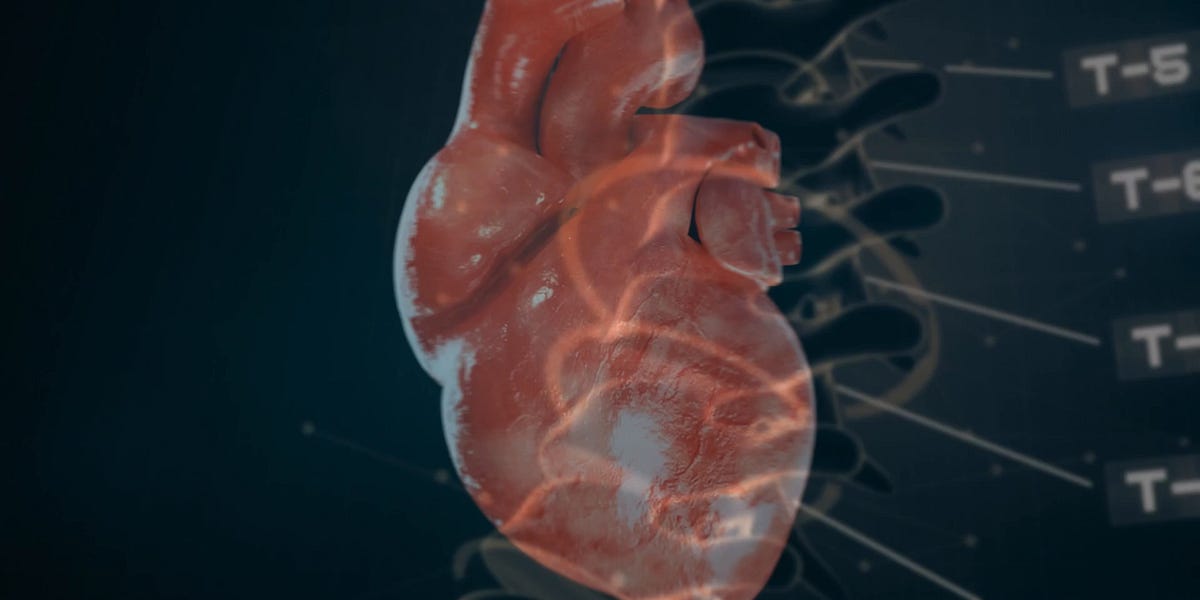 First look at our new documentary series