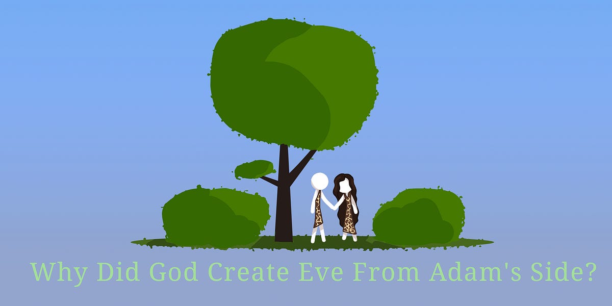 Why Did God Create Eve From Adams Side