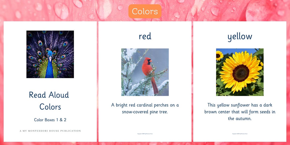 A Book with Color Boxes 1 & 2 - by Mercy