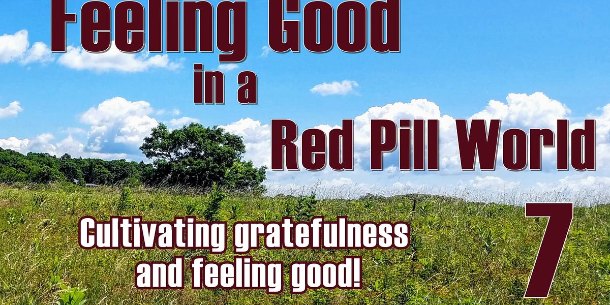 Feeling Good in a Red Pill World - Gratefulness - 7