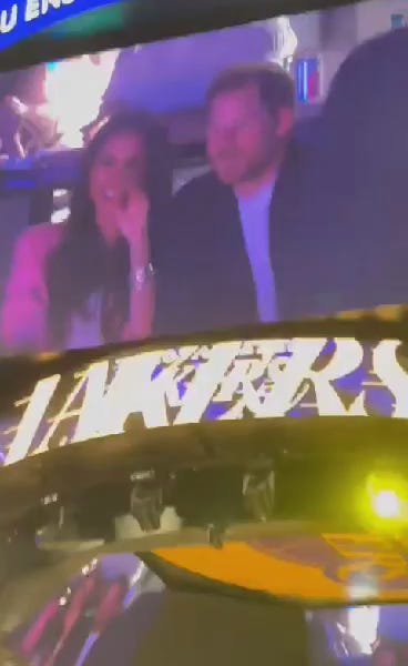 The Wrinkled Flamingo Show - Harry Markle Blog