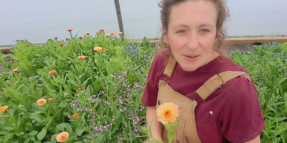 Its All Budding Up - by Suzie Rush - Picked at Dawn