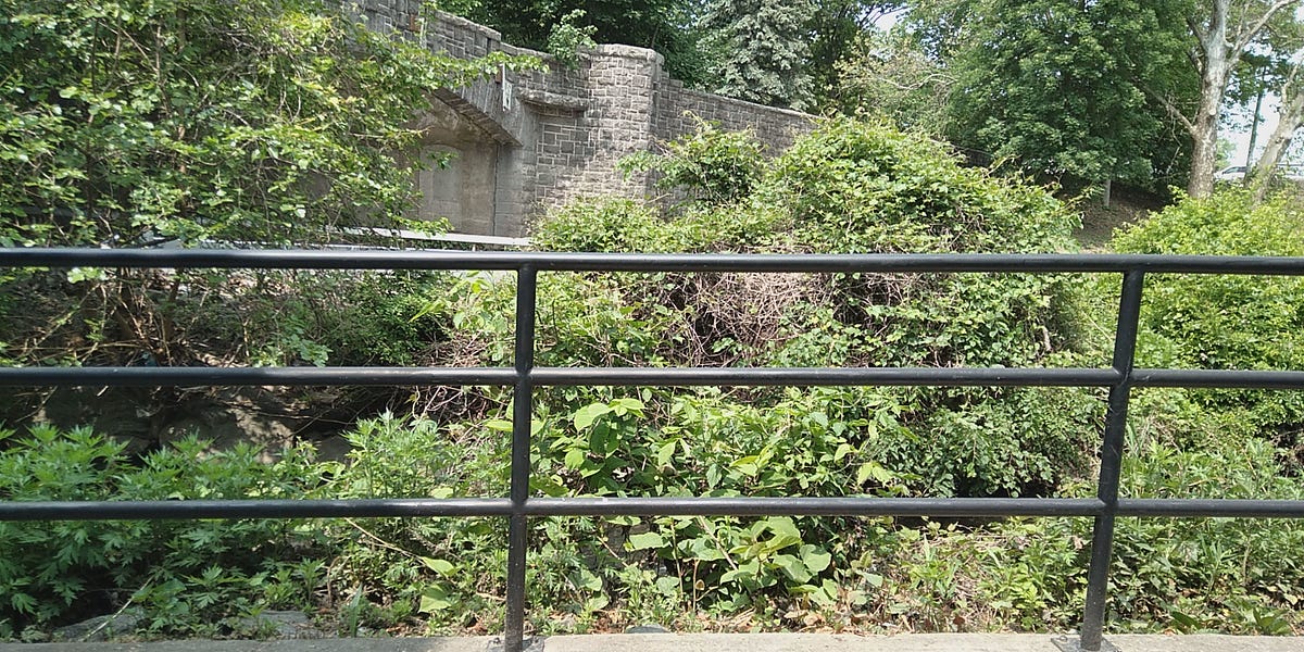 The Bronx River Report - PCS Nation