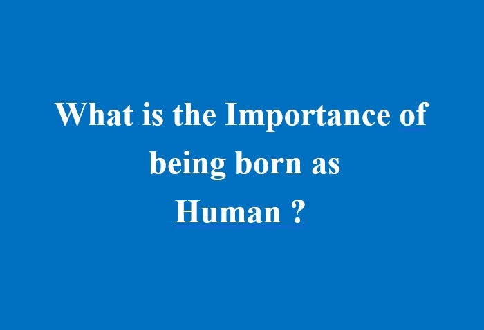 What is the Importance of Being Born as a Human Being?