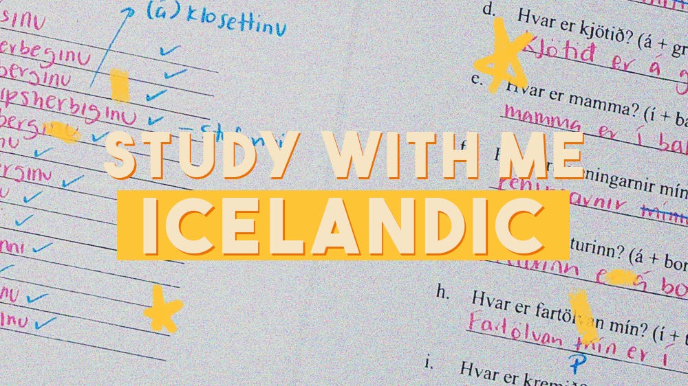 📸 Icelandic Study With Me - by Victoria