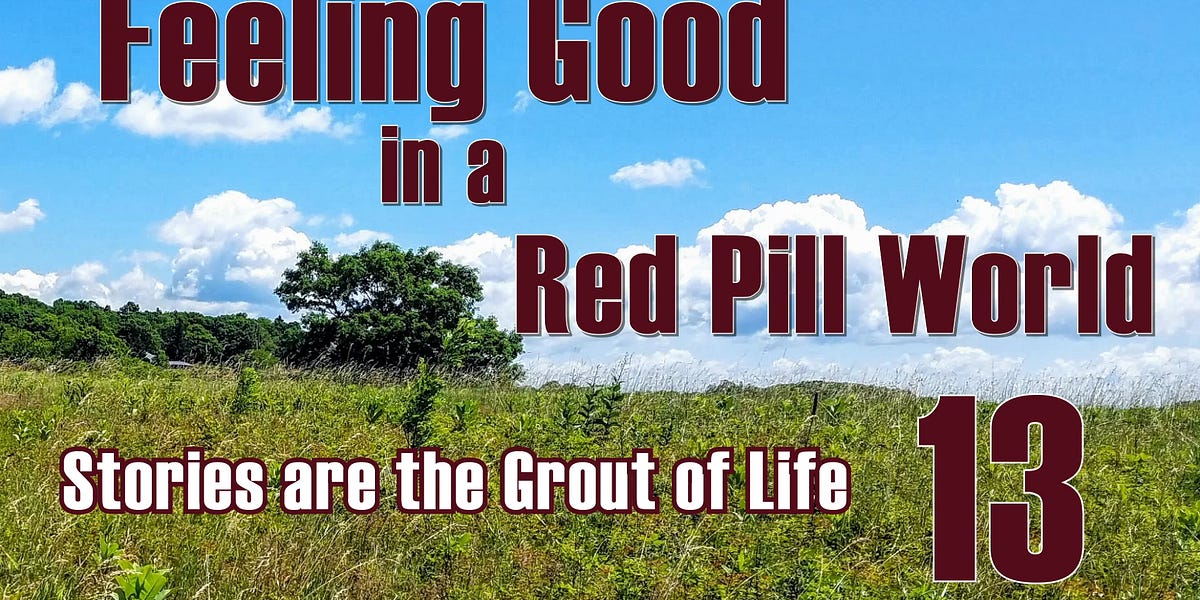 Feeling Good in a Red Pill World - Stories are the Grout of Life