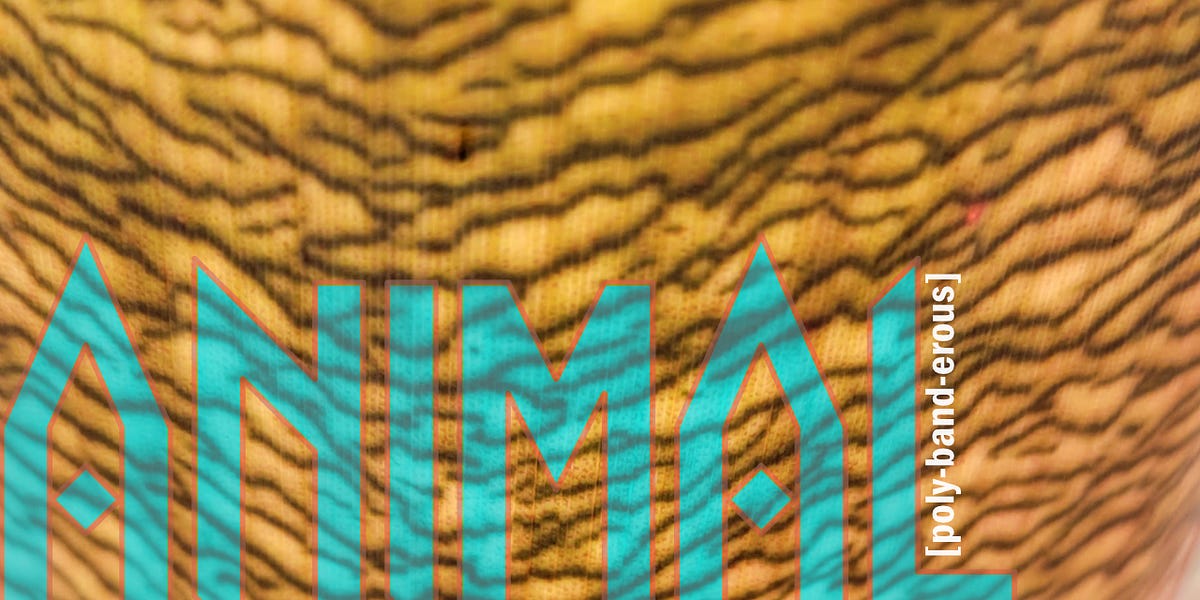 Animal - by Polybanderous Productions, LLC - Polystack