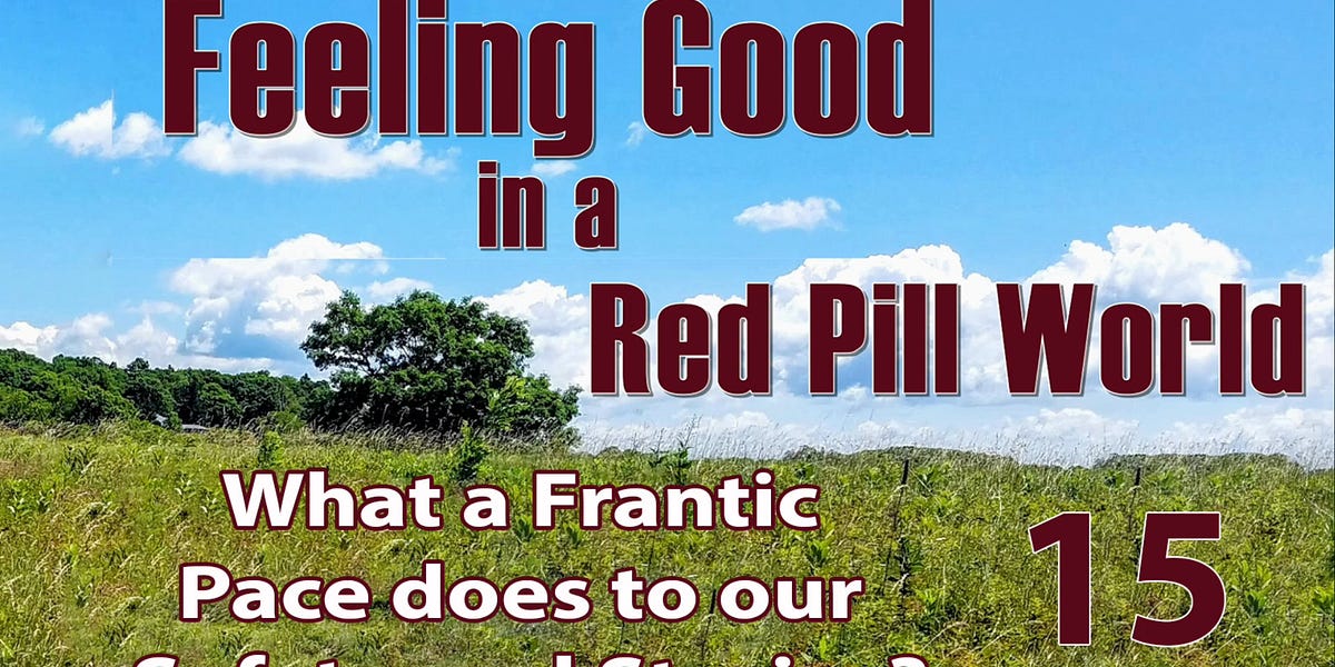 What a Frantic Pace does to Our Safety and Stories?