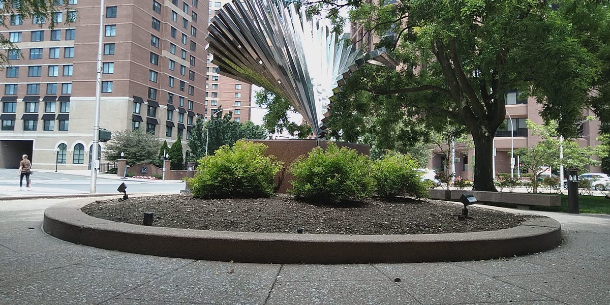 The Shaved Bush Park Report - PCS Nation