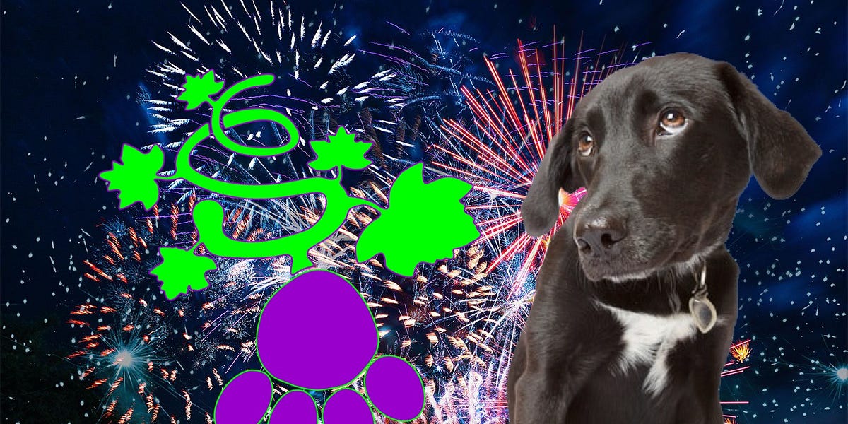 Preventing and Remediating Fear of Fireworks