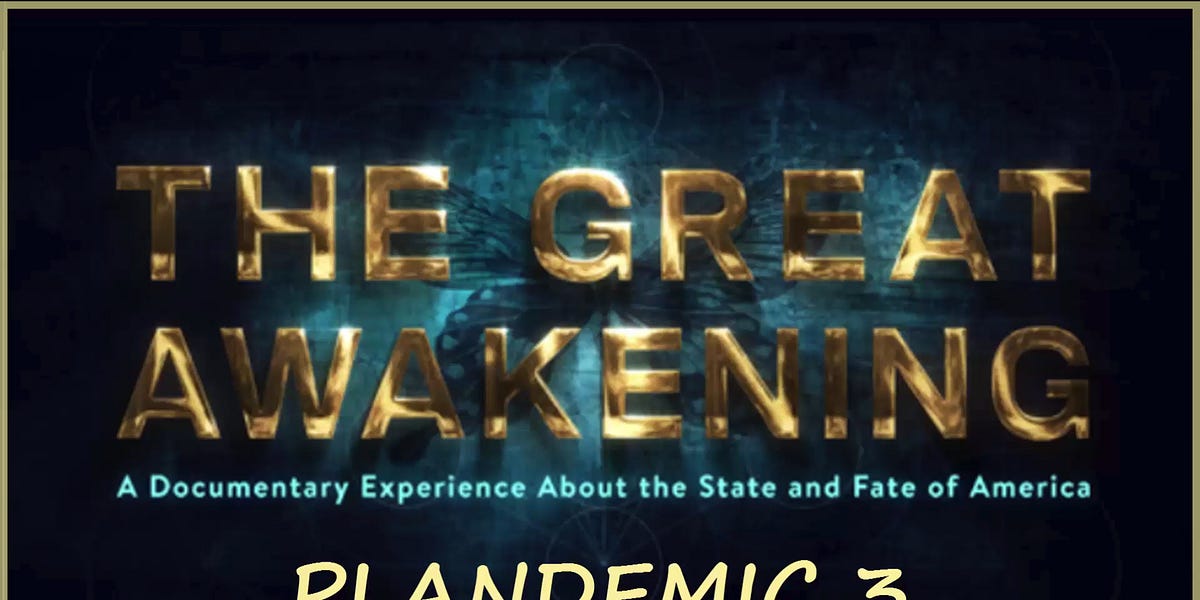 PLANDEMIC 3: Η ΜΕΓΑΛΗ ΑΦΥΠΝΙΣΗ - Nioland’s Substack