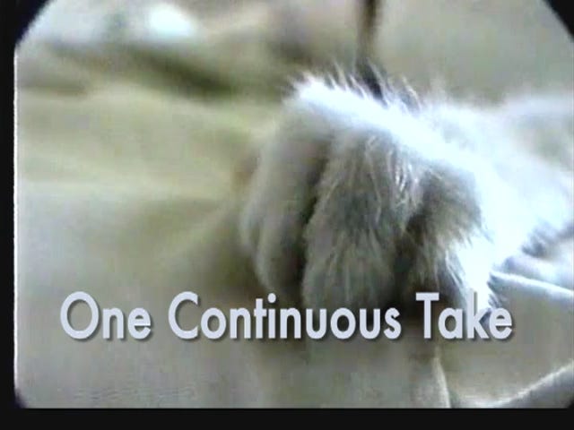 Allie the Cat, Part 2 - by Ben Hollis