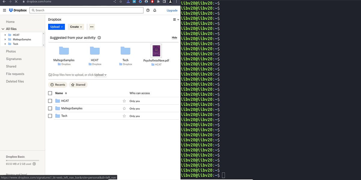 Install Dropbox On Linux - by Neal Rauhauser