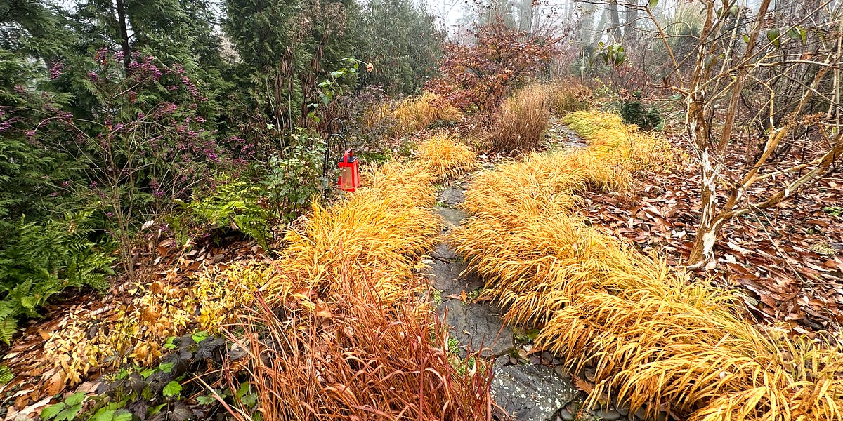 Sharp China Free Episode: Politico’s Rendering of a Xi ‘Purge’; Finance ...