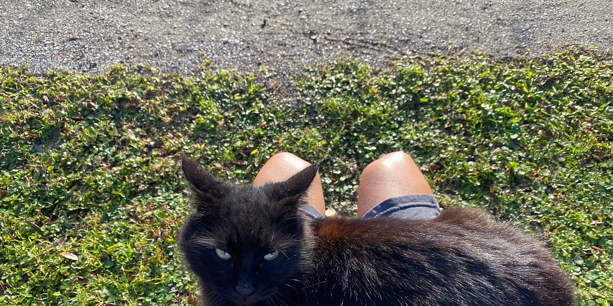 Make Your Bed - by Drew Garabo