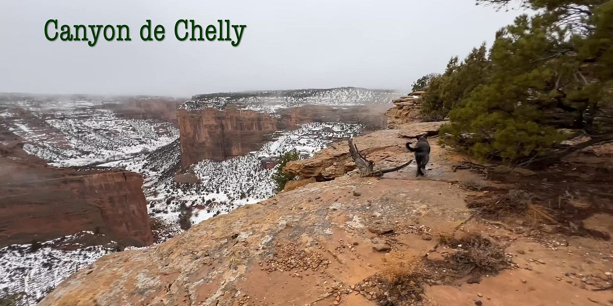 'Mudded Out' in the Four Corners - Tom Ryan, Author