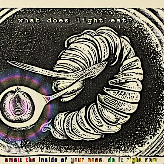 What Does Your Light Eat? Metabolism emit light photosynthesis
