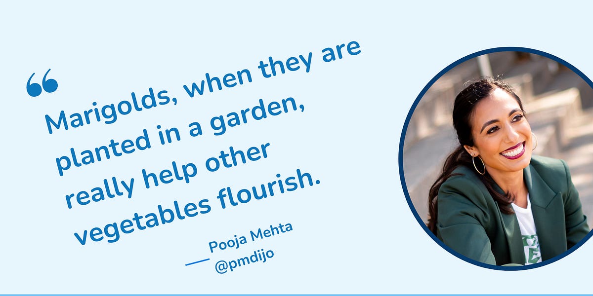 Sowing Seeds of Change: Marigold Effect in Entrepreneurship