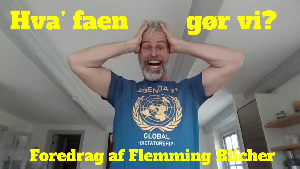 Hva' fa'en gør vi? - by Flemming Blicher