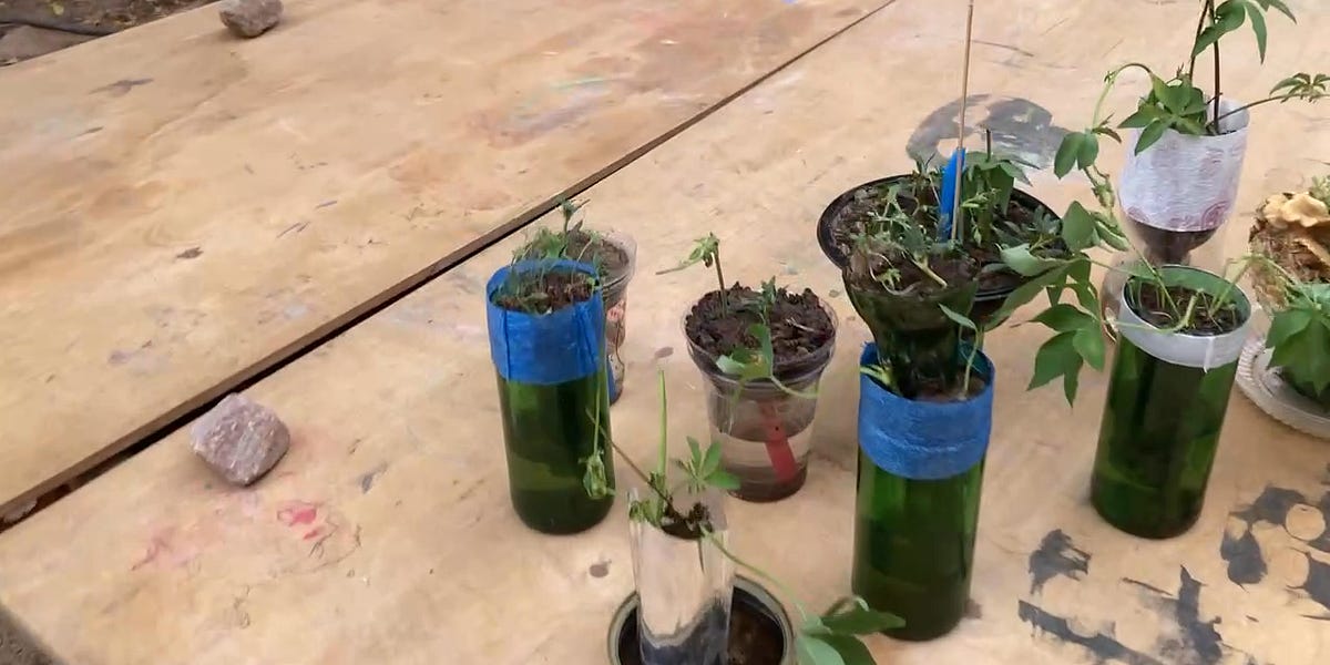 Wicking bed experiments - by Jay Cousins