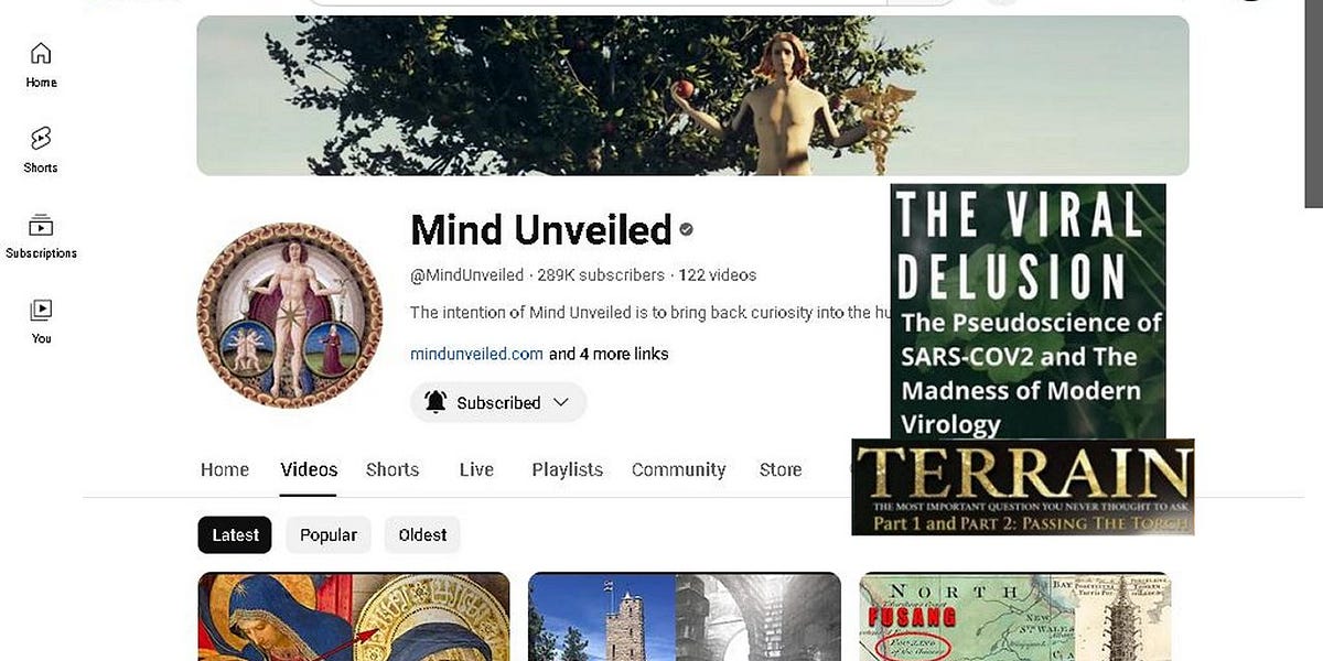 Mind Unveiled: The History Of 'Health' Decoded and Explained for Dummies!