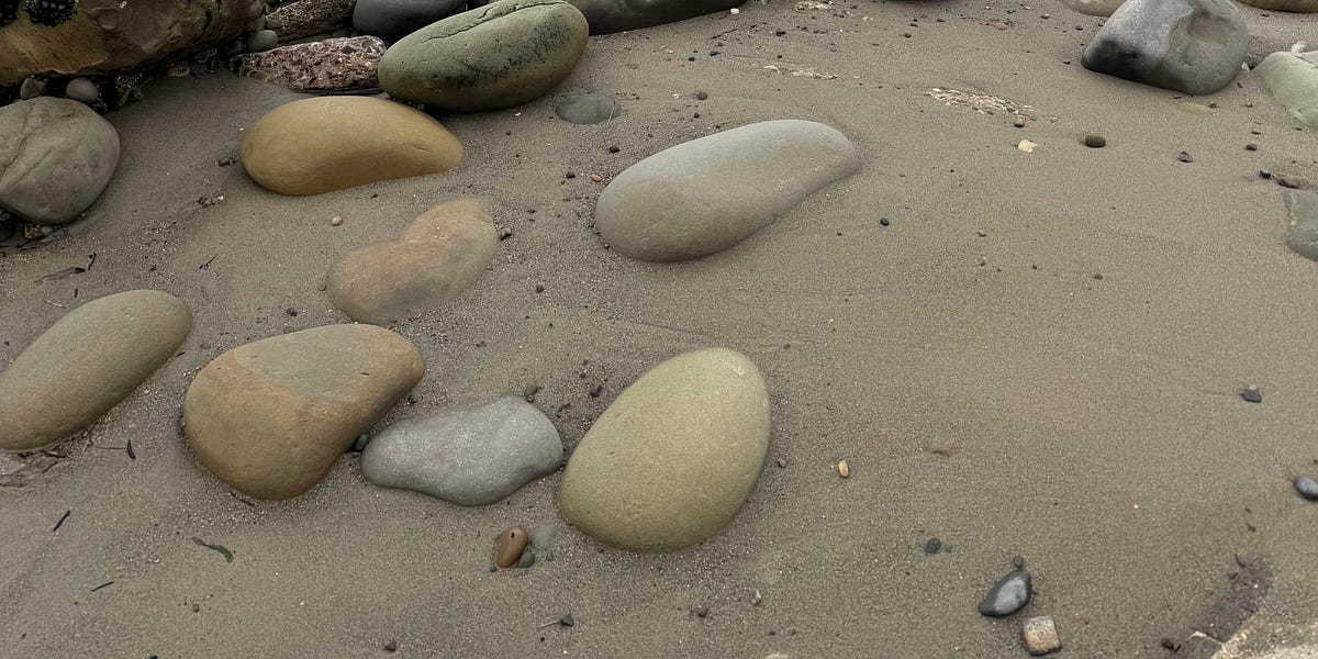 Integrating Your Emotions - by Amrit-Sadhana Boyd