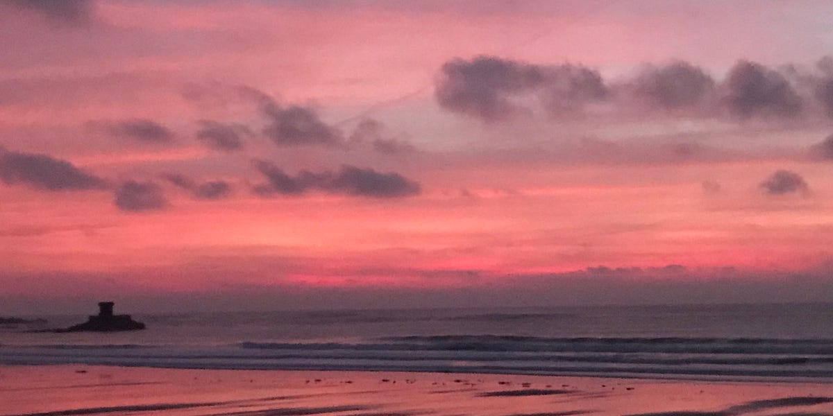 Elinor Glyn Part 4 - Homecoming